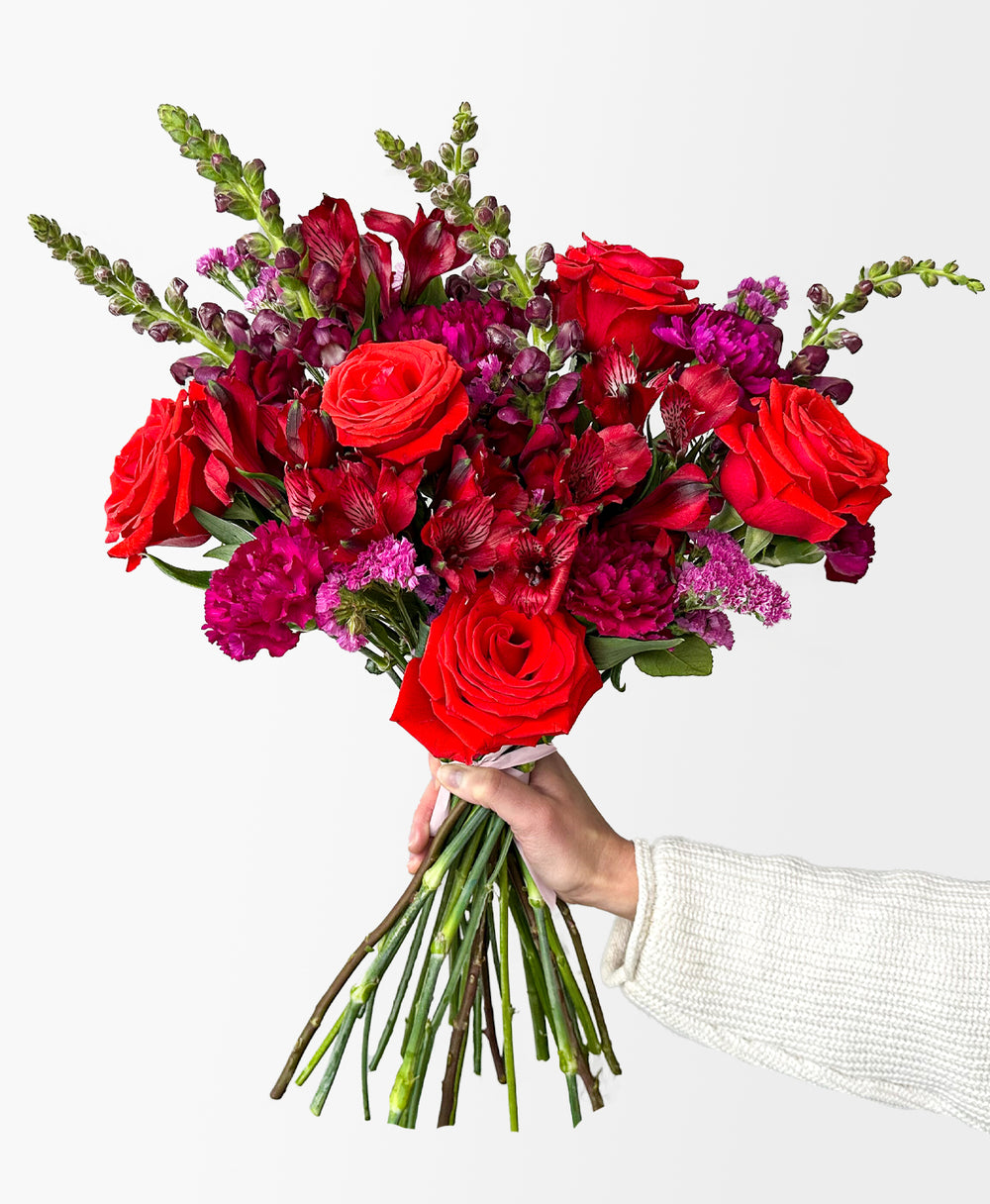 Buy New Flame (20+ Stems) Vibrant Floral Stems | Tonic Blooms