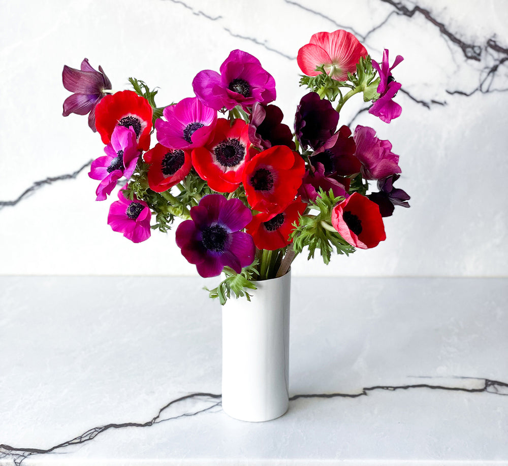 Same Day Flower Delivery Hamilton, Ontario | Tonic Blooms