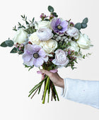 Jill Frost (13+ stems) (Copy) - Flower Care