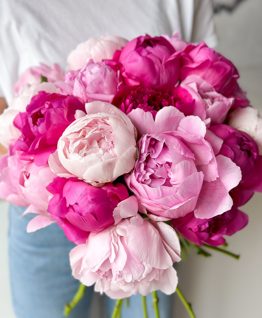 Double Pink Peony Mix (20 Stems)