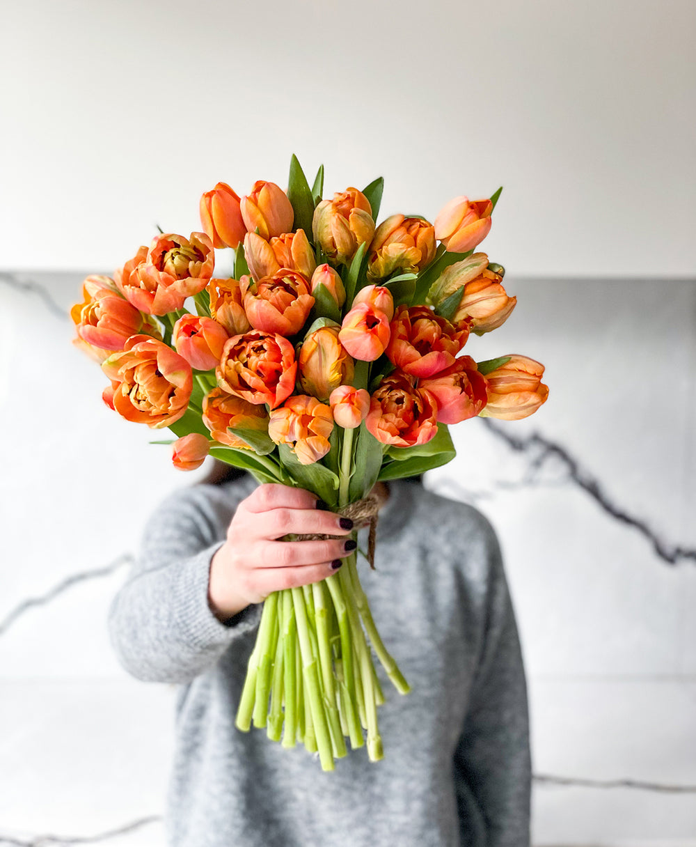 Shop Atomic Orange Double Tulips 30-Stems | Tonic Blooms
