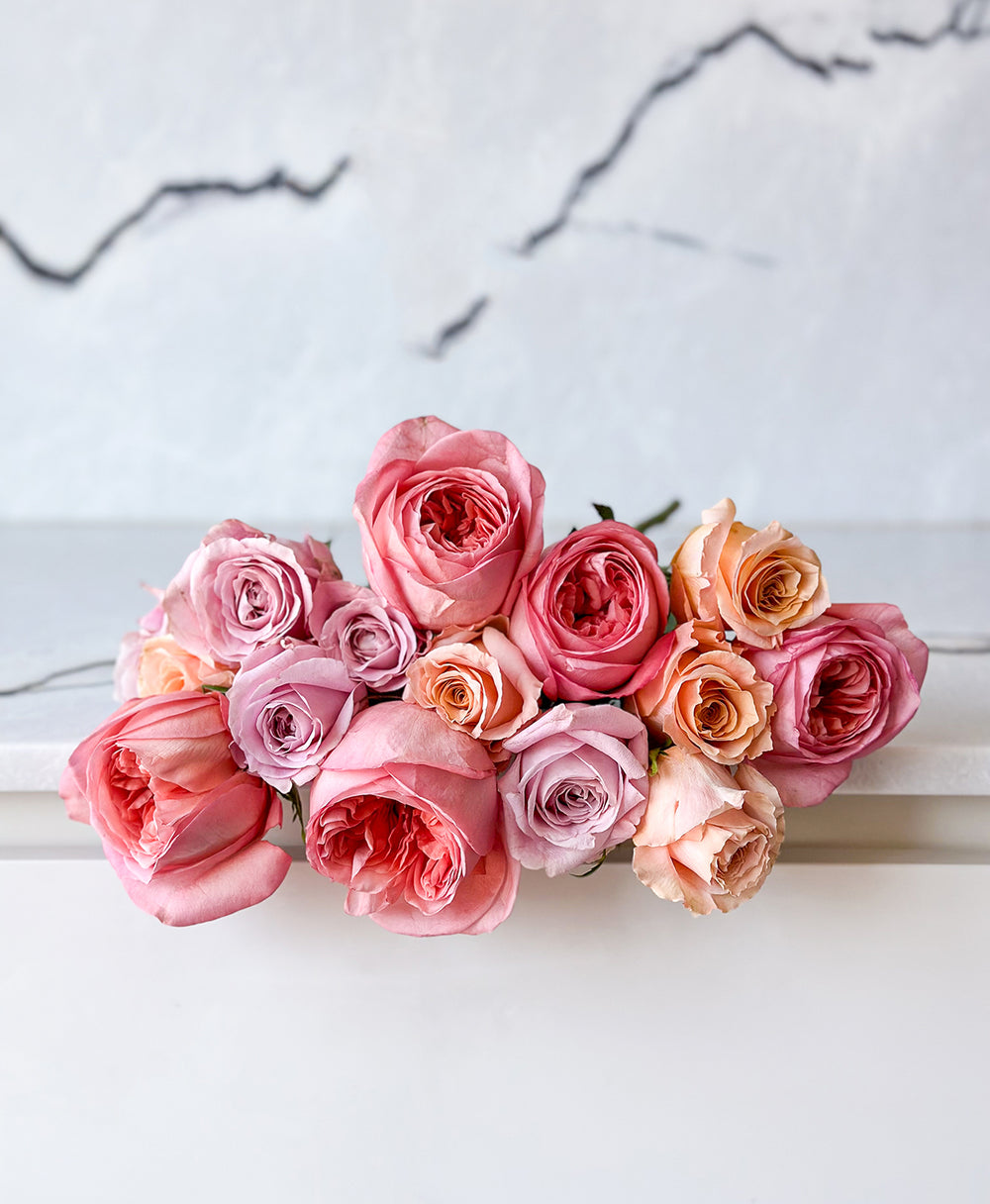 Tutti Frutti Rose Mix (15 stems)