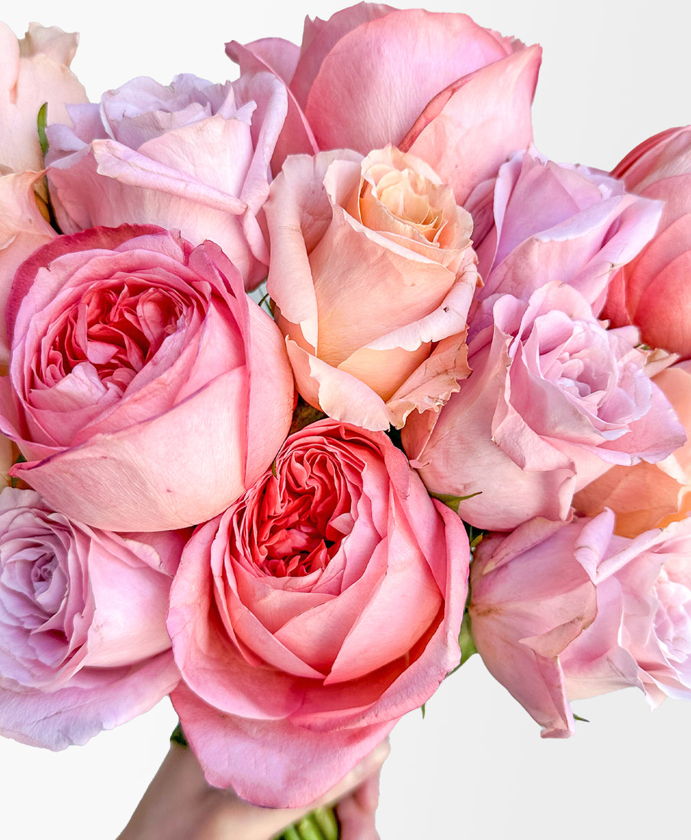 Tutti Frutti Rose Mix (15 stems)