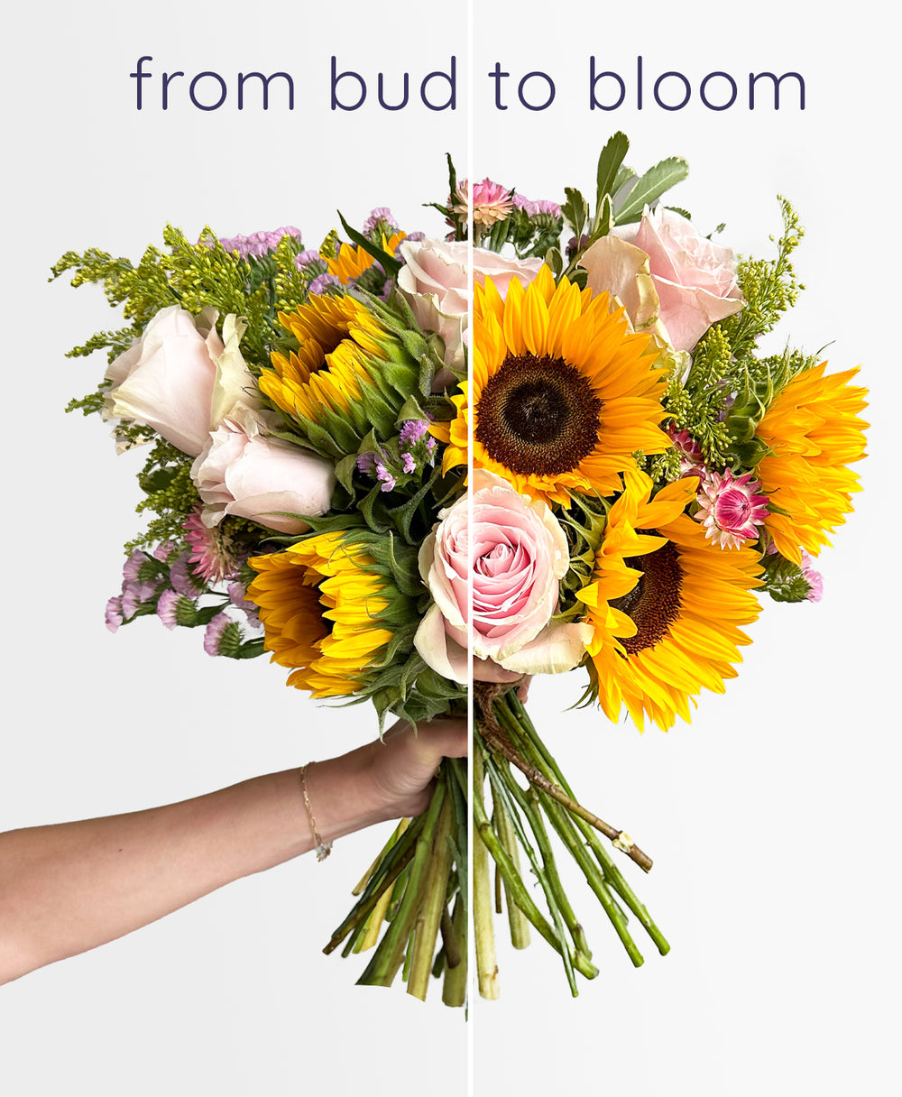 Best Cottagecore Garden Flowers | Tonic Blooms