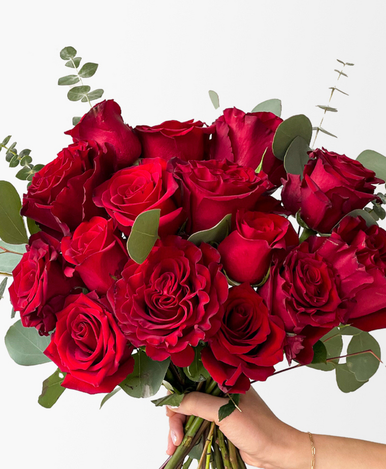 Tonic Blooms | on demand and same-day Toronto flower delivery