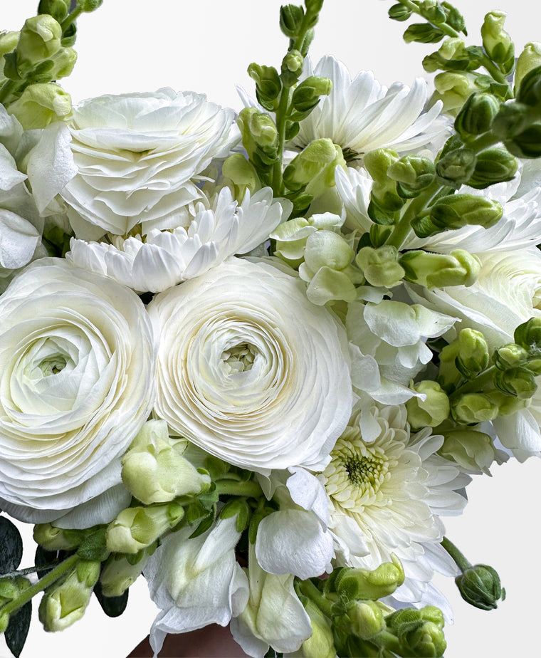 Tonic Blooms | on demand and same-day Toronto flower delivery