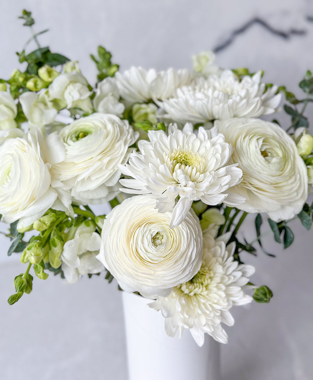 Easy Breezy (18+ stems)