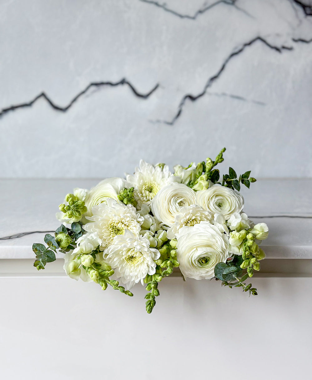 Easy Breezy (18+ stems)