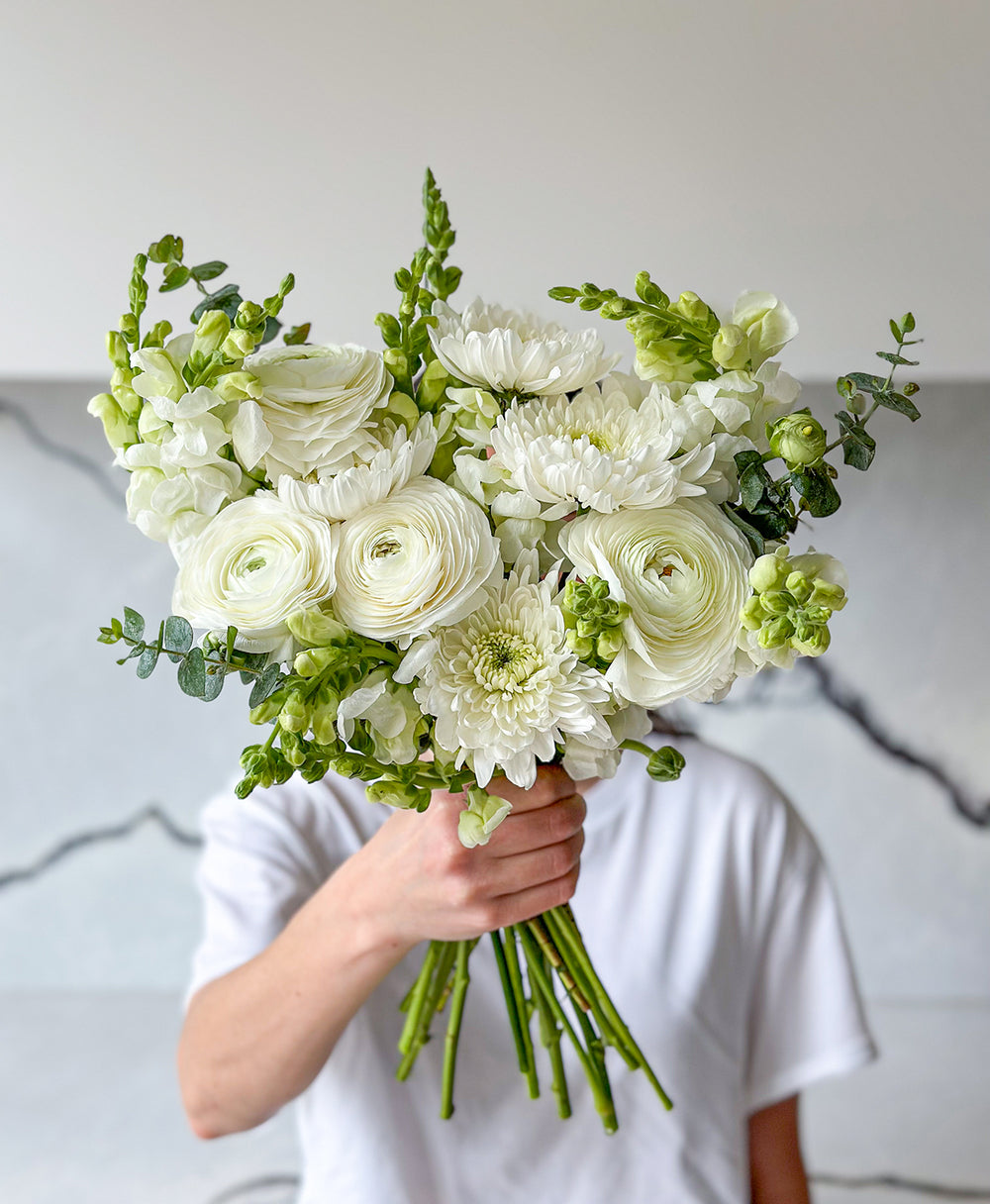 Easy Breezy (18+ stems)