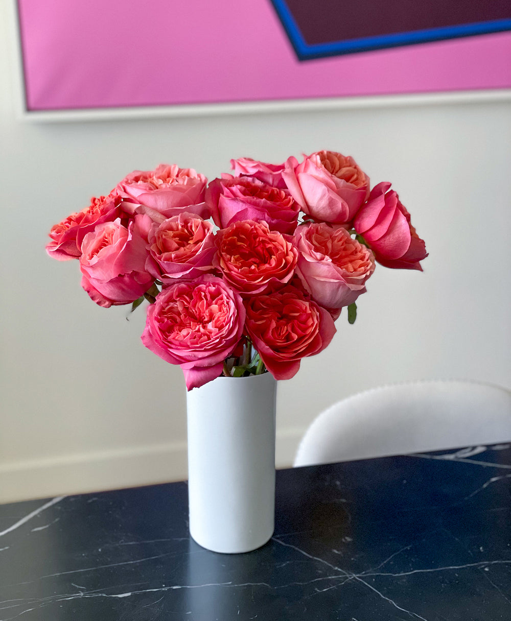 Expression Yourself Garden Roses (12 stems)
