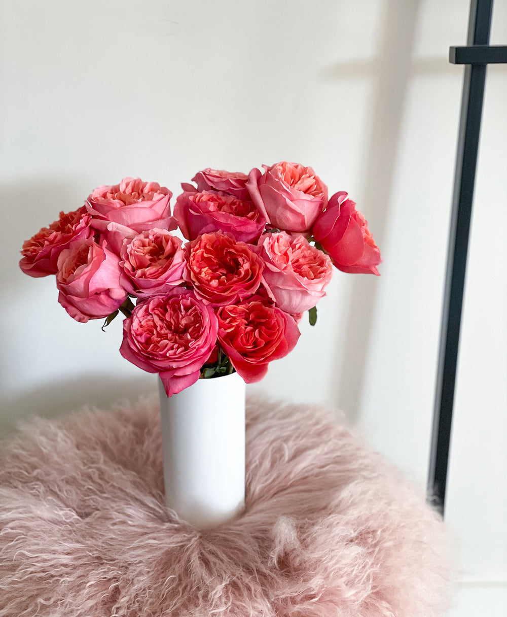 Expression Yourself Garden Roses (12 stems)