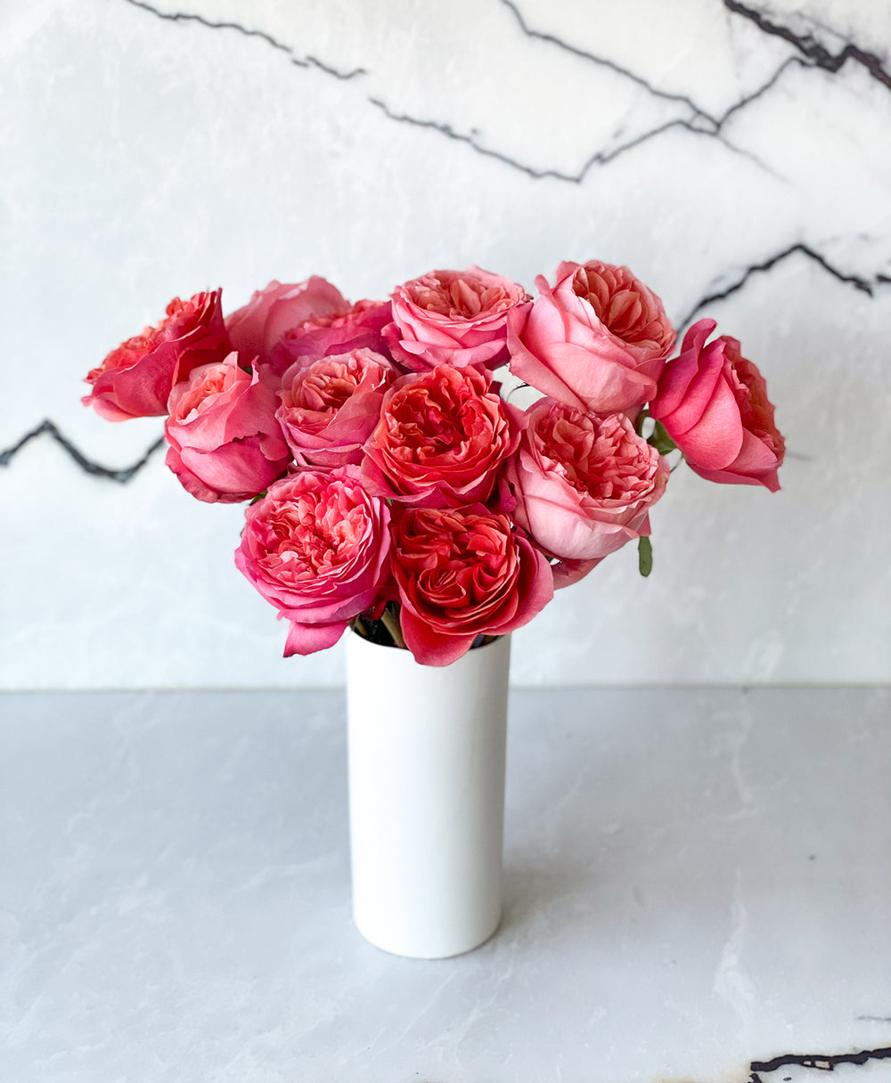 Expression Yourself Garden Roses (12 stems)