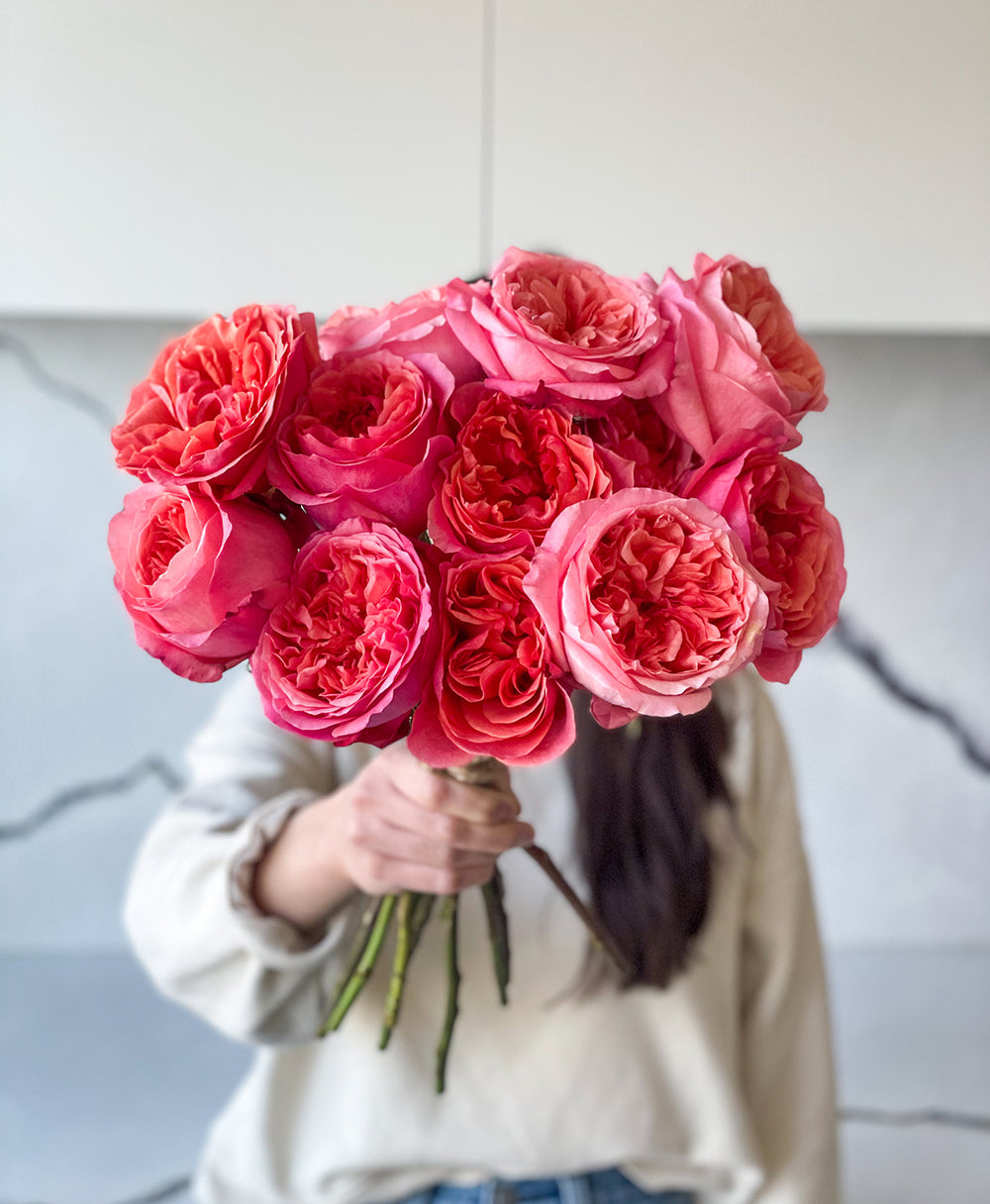 Expression Yourself Garden Roses (12 stems)