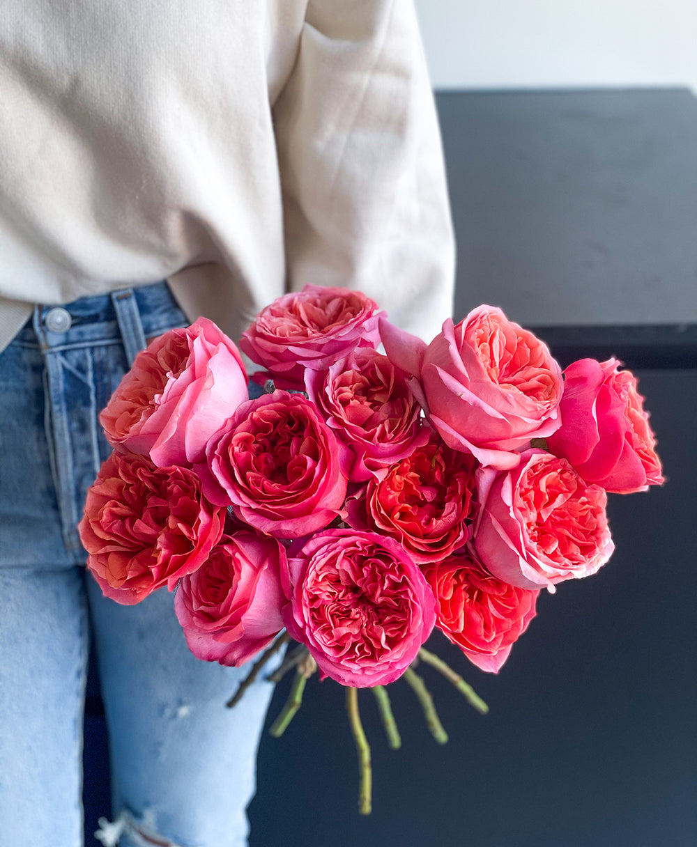 Expression Yourself Garden Roses (12 stems)