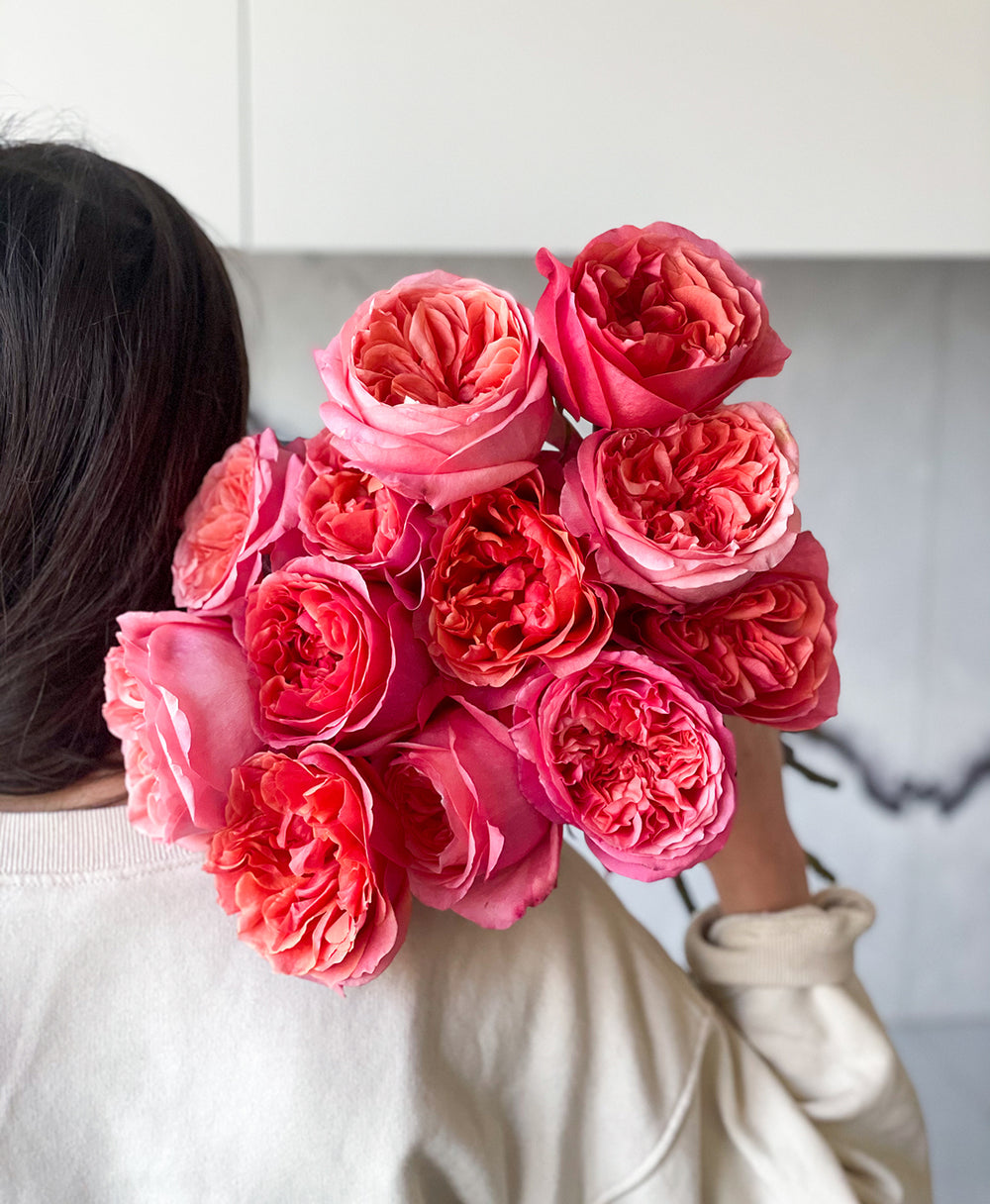 Expression Yourself Garden Roses (12 stems)