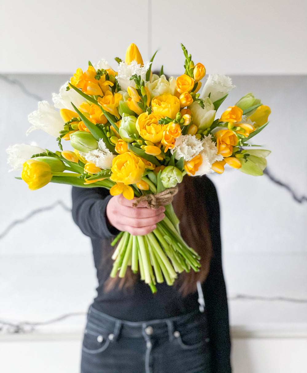 Here Comes the Sun (35 stems)