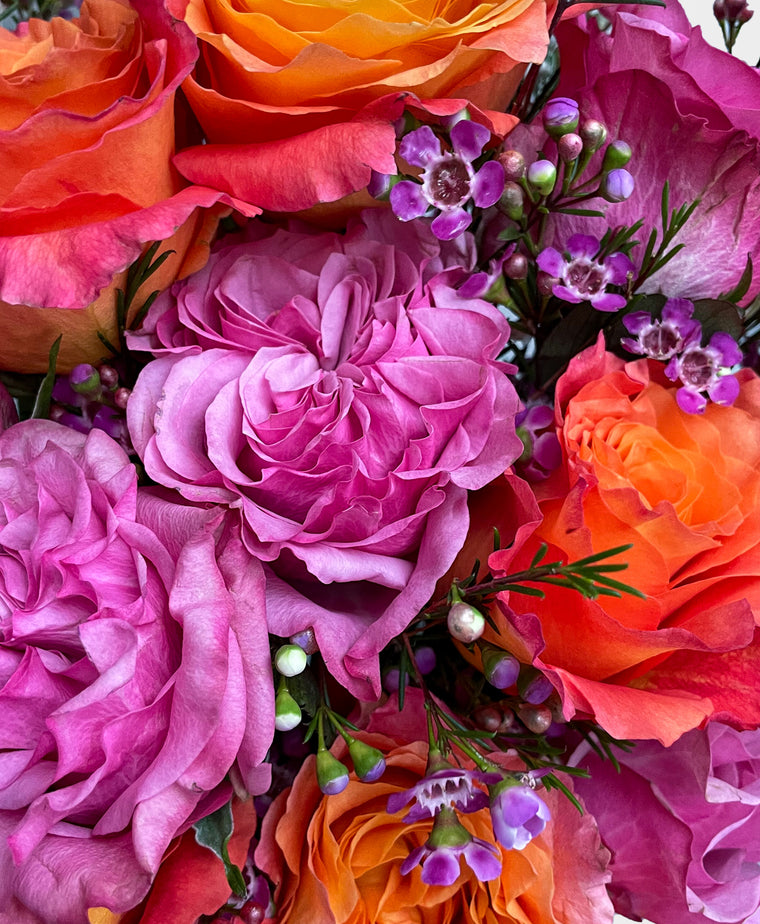 Tutti Frutti Rose Mix (15 stems)