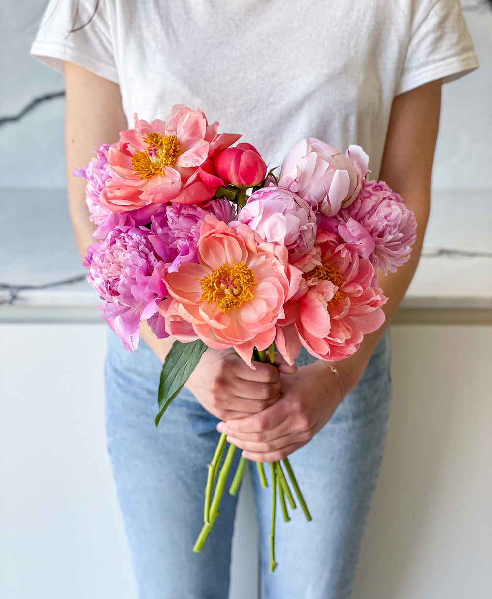 Poolside Peonies (10 Stems)