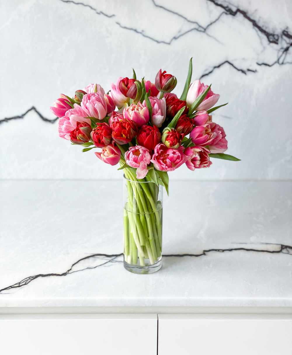 Buy Double Tulips Online | Two Lips Kiss (30 Stem)