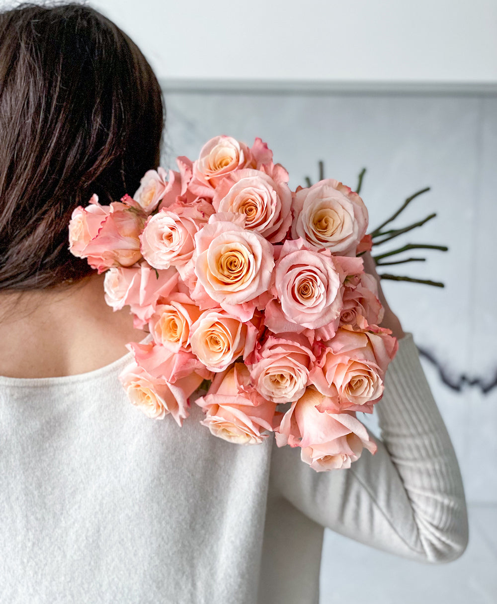 Buy Shimmer Peach Garden Rose on Sale | Tonic Blooms