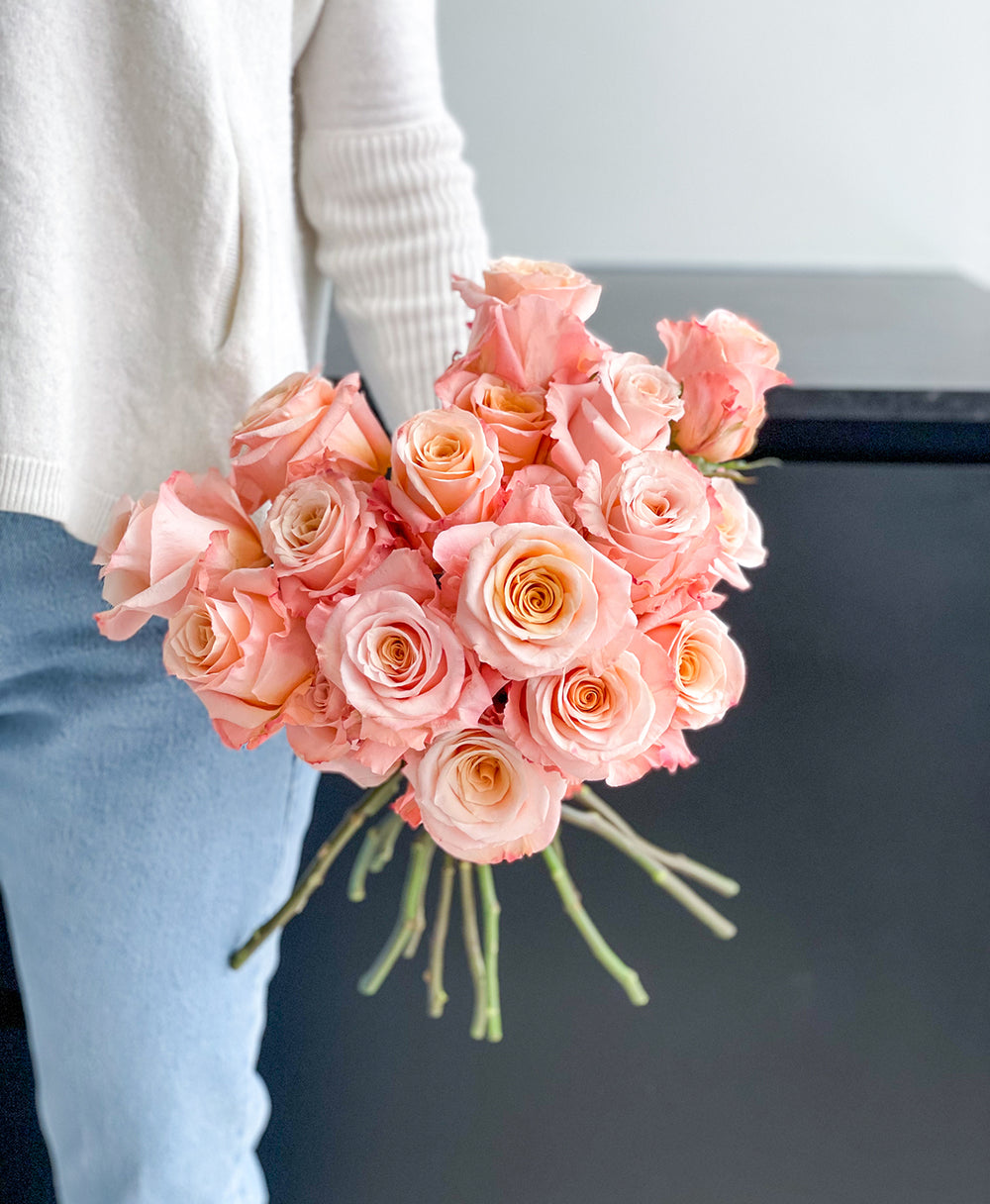Buy Shimmer Peach Garden Rose on Sale | Tonic Blooms