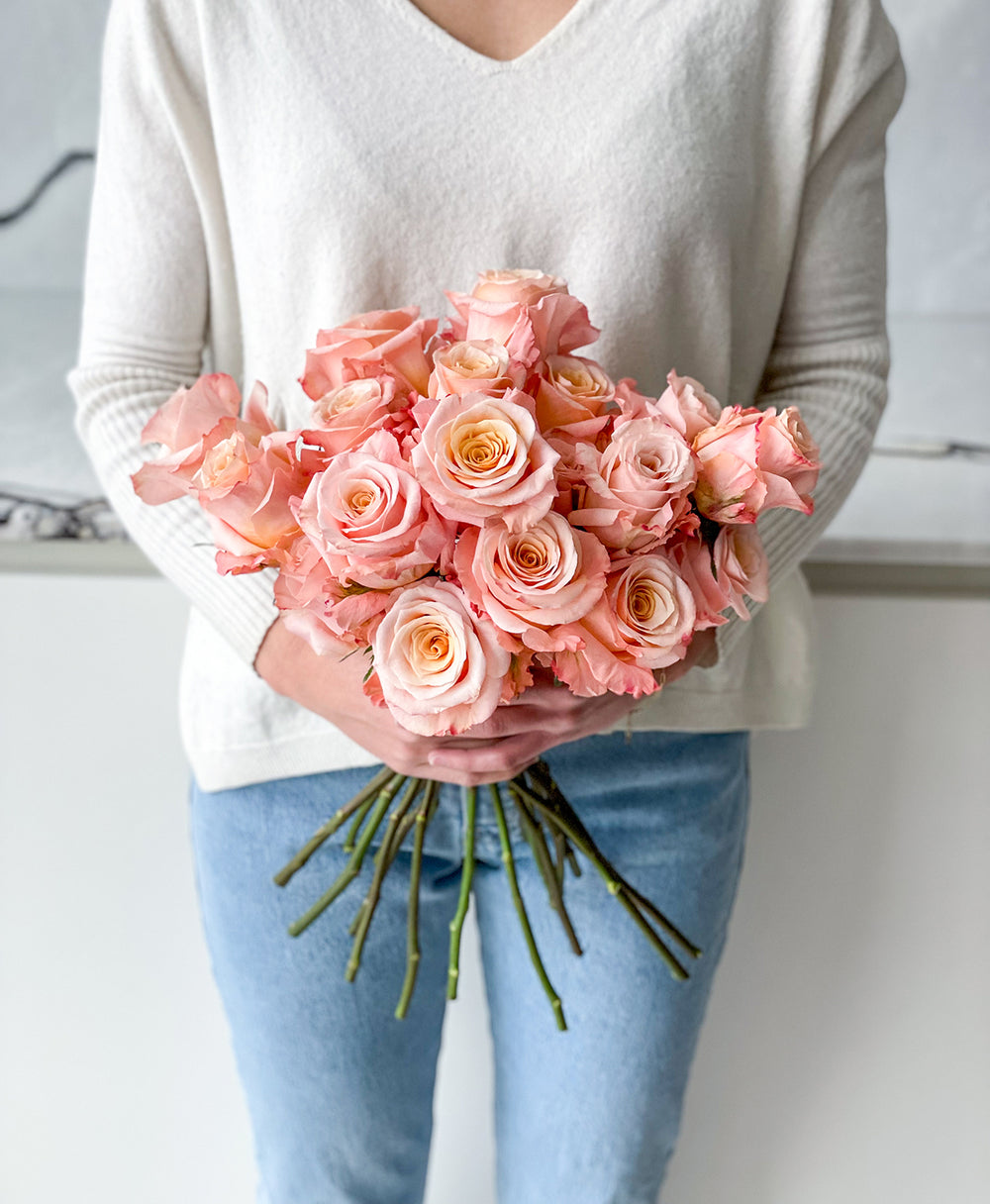 Buy Shimmer Peach Garden Rose on Sale | Tonic Blooms