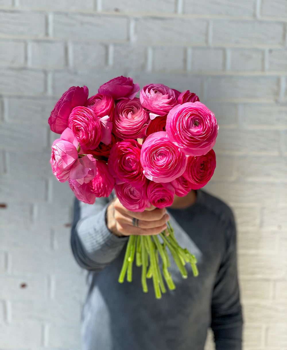 Shop Mixed Hot Pink Ranunculus (20 Stems) | Tonic Blooms