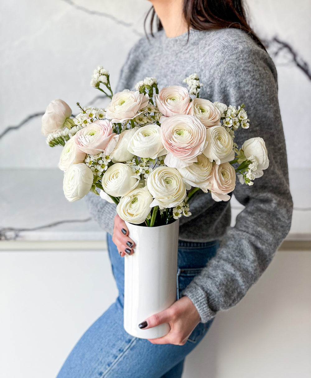 First Blush Ranunculus (18+ stems)